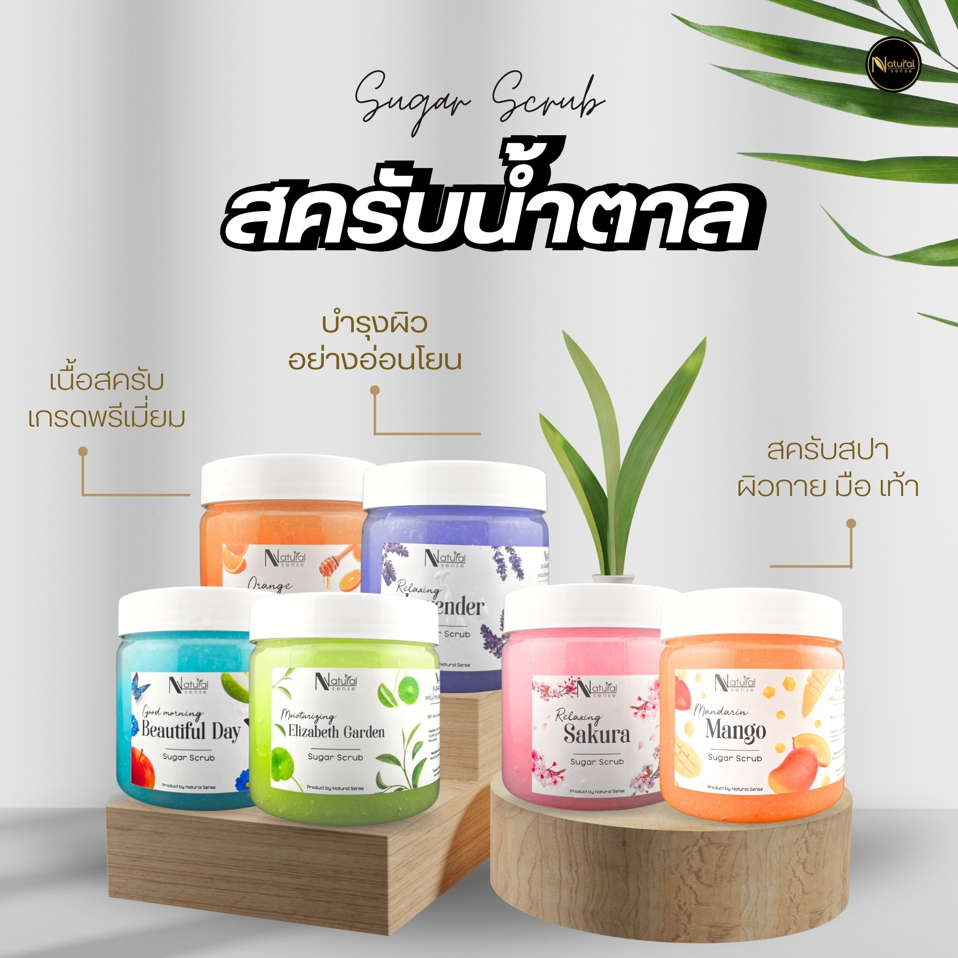 Sugar Scrub สครับน้ำตาล เกรดพรีเมี่ยม – Natural Sense Thailand